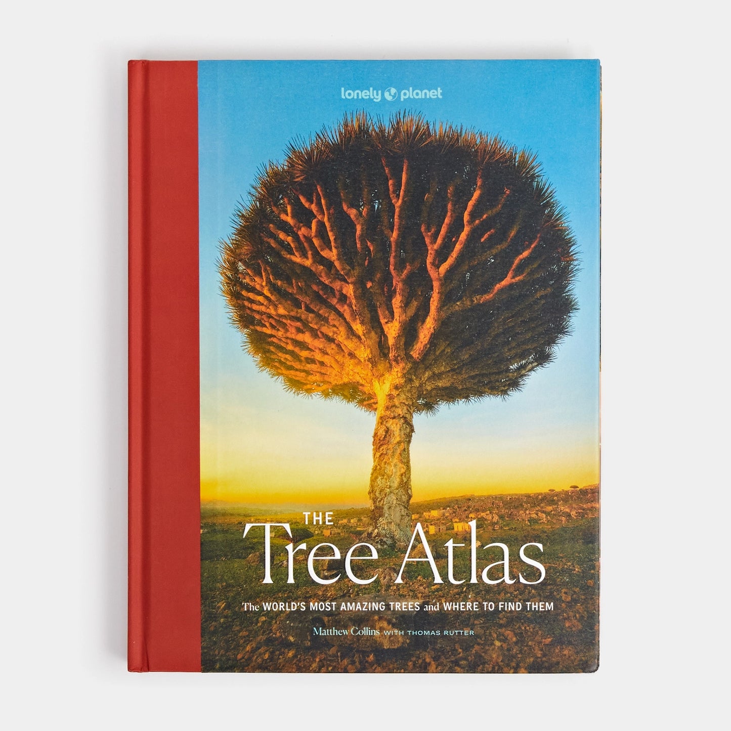 The Tree Atlas – Isabel's Place
